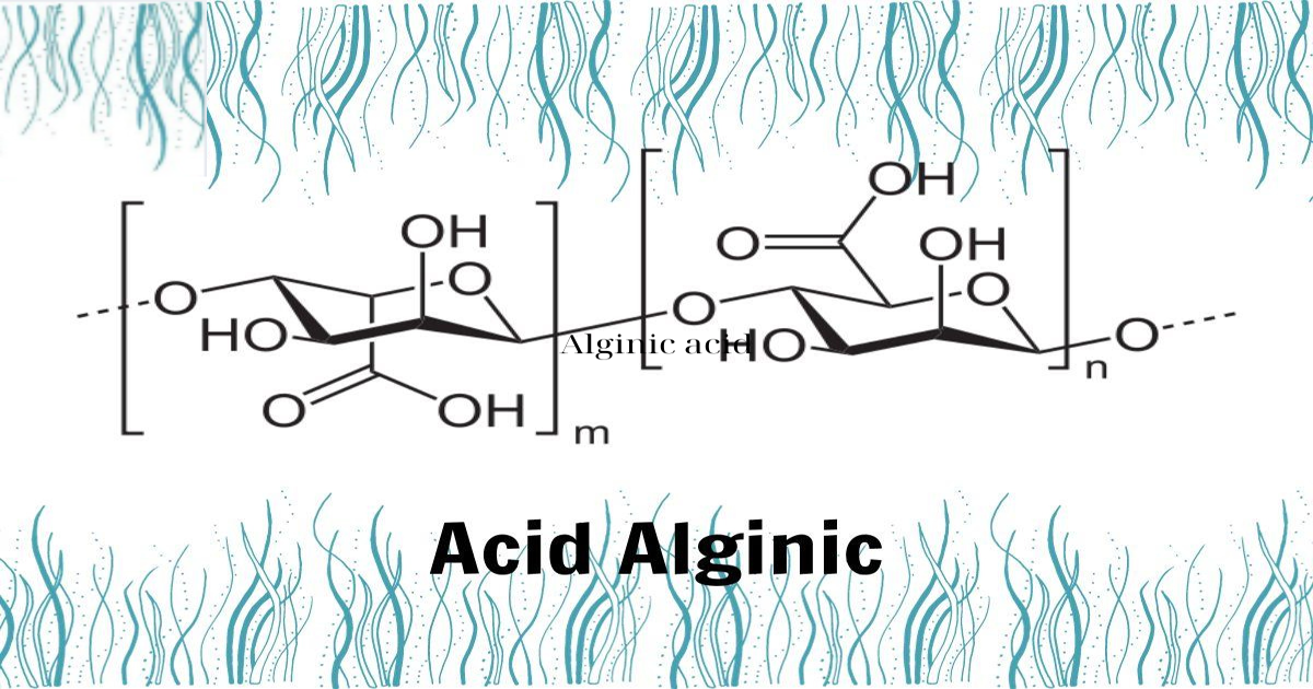 Alginic acid – “Chất keo sinh học” giúp cây mát khỏe và tăng khả năng ...